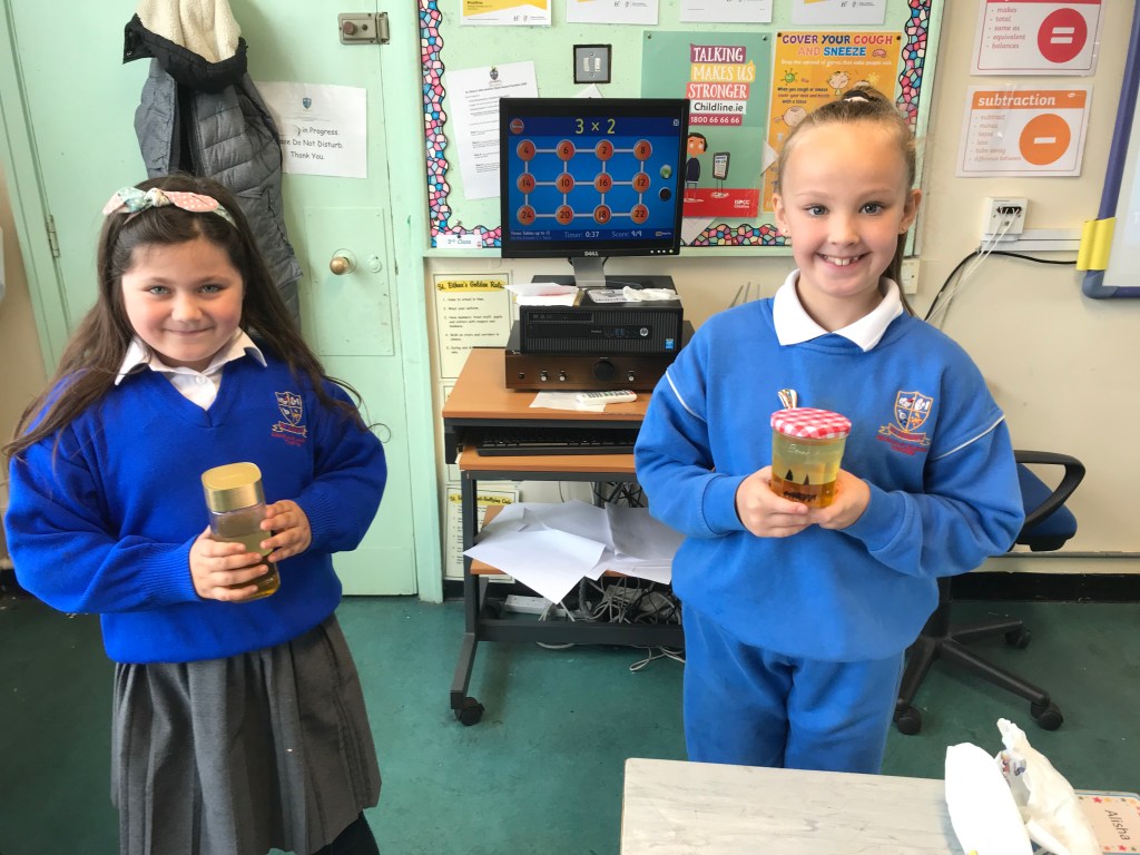 3rd Class – St.Eithne's gns